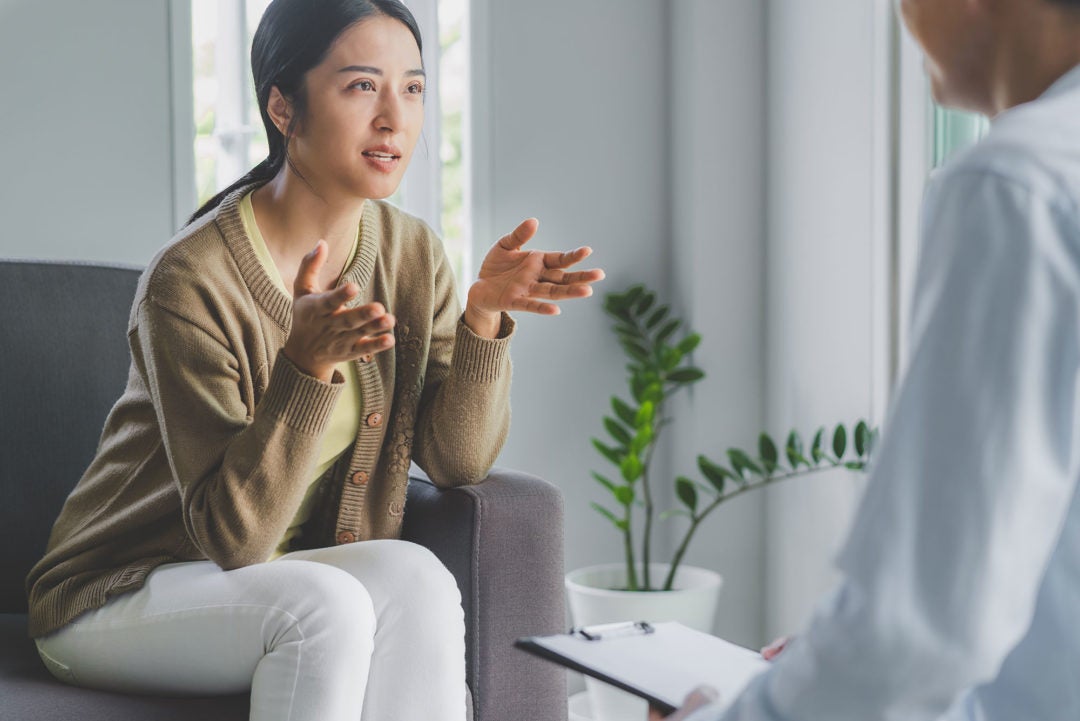 How to Become a Counsellor: An Intellectual Job That Makes a Difference ...