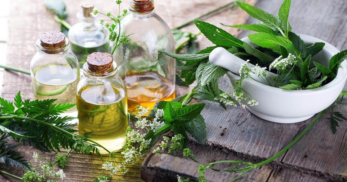 Herbal Medicines Courses Training au Herbal Medicines Courses Training au